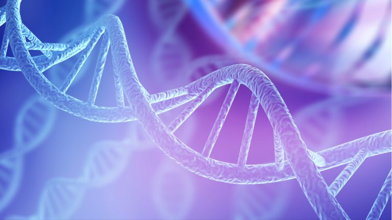 GMP DNA production and manufacturing services - Touchlight